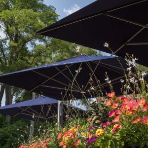 Shadowspec Umbrella Gallery - A Global Showcase of Shadowspec